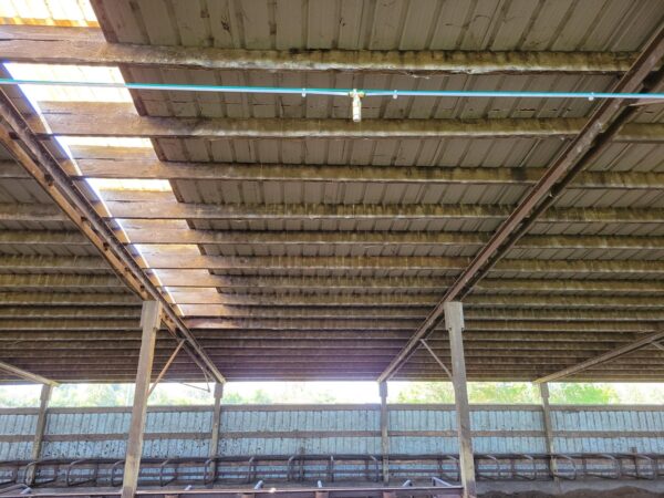 Systems - #1 (Automatic) Fly, Mosquito, Insect, and Pest Control for ...